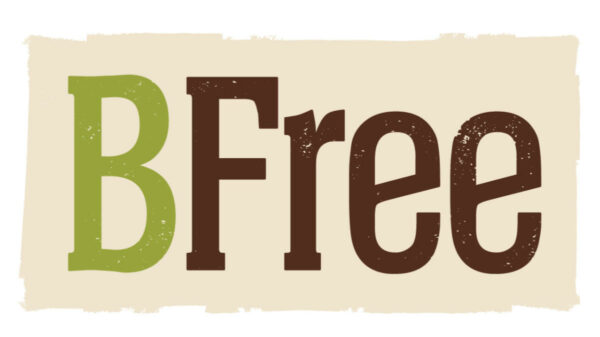 9 Popular Gluten-Free Bagel Brands (2022) - Gluten-Free Grubbin'
